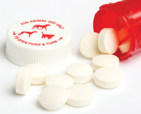 Veterinary Drug Packaging | Ascend Packaging